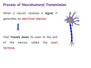 Neurohumoral Transmission.pdf