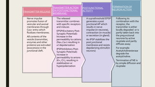 Neurohumoral transmission | PPTX
