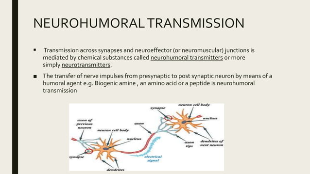 Neurohumoral transmission | PPTX