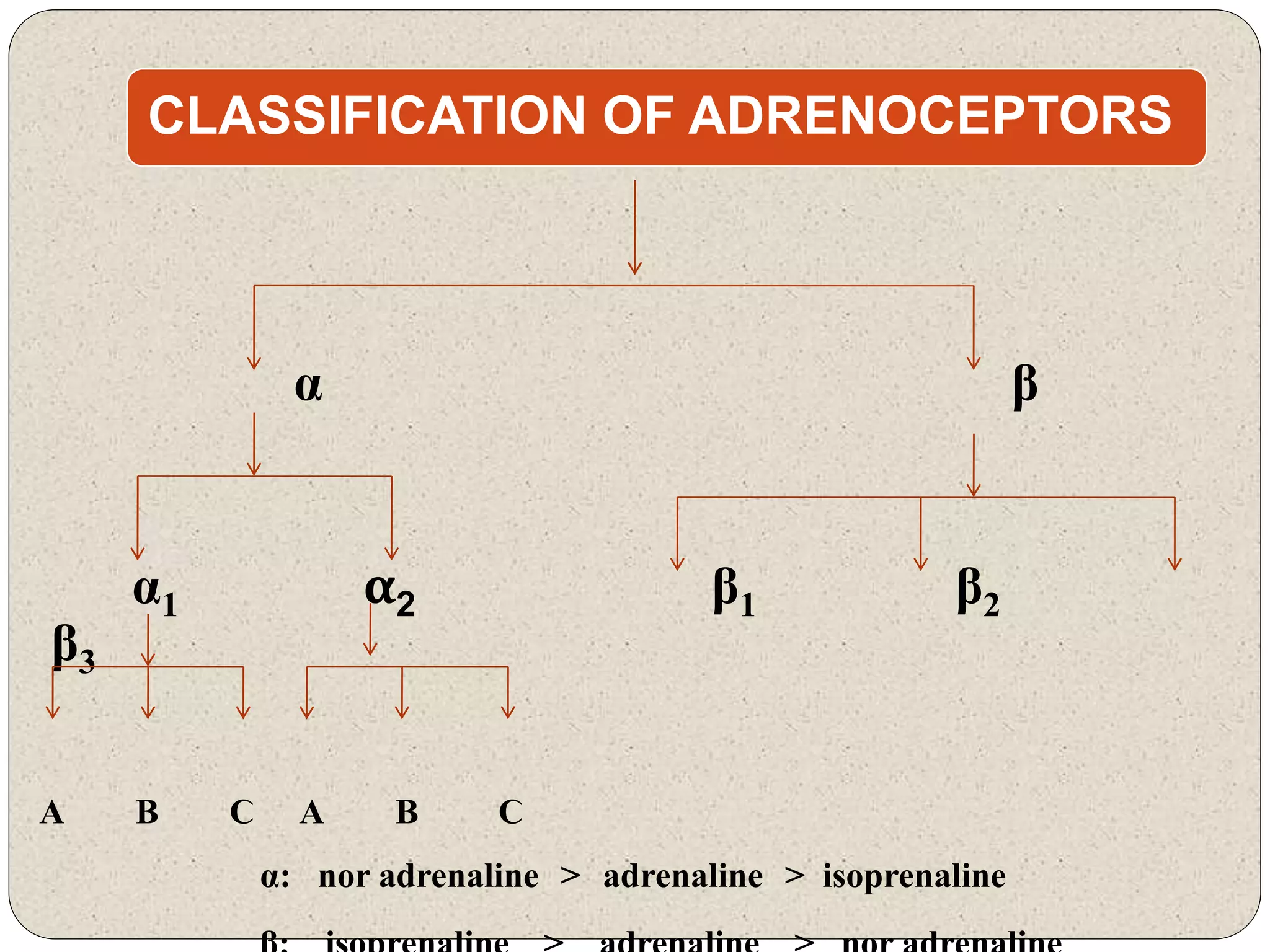 Neurohumoral transmission in ans | PPTX