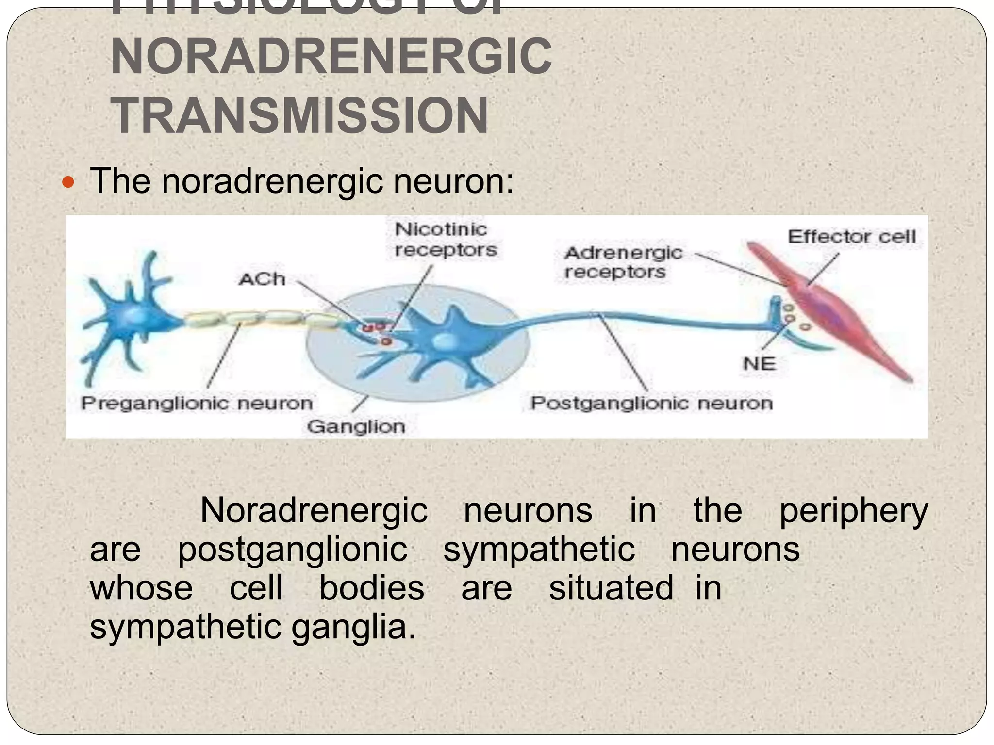Neurohumoral transmission in ans | PPTX