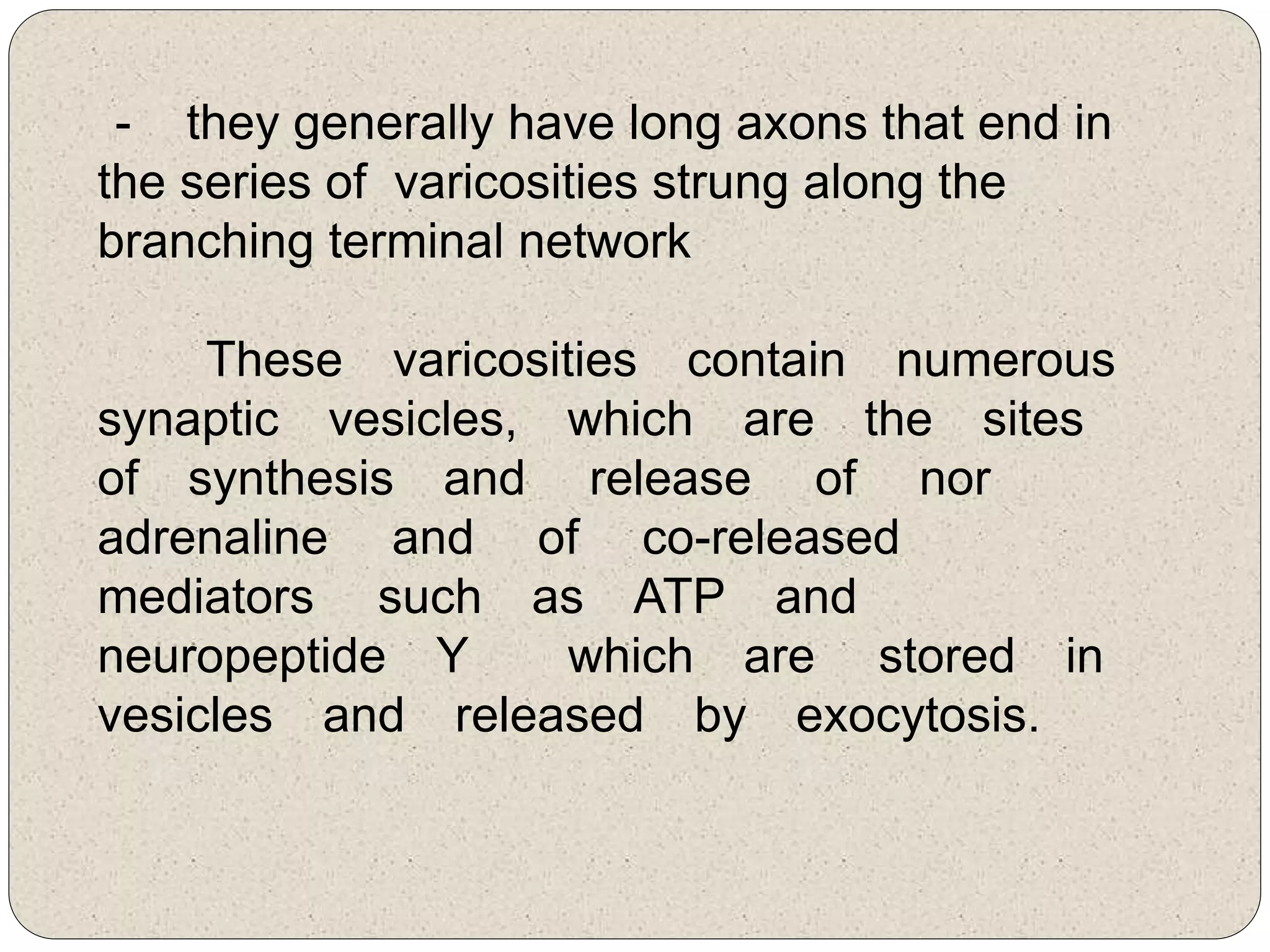 Neurohumoral transmission in ans | PPTX