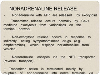 Neurohumoral transmission in ans | PPTX