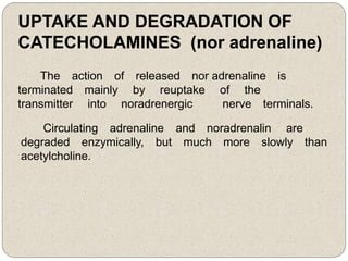 Neurohumoral transmission in ans | PPTX