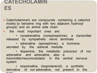 Neurohumoral transmission in ans | PPTX
