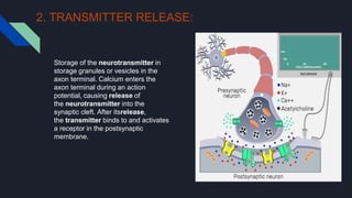 Neurohumoral transmission in body action | PPTX