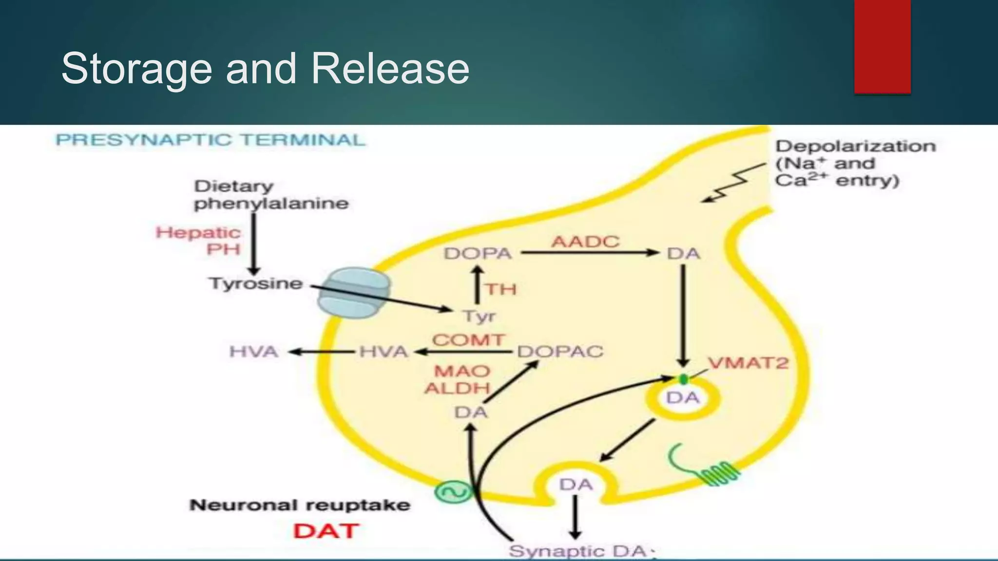 Neurohumoral transmission in CNS | PPTX