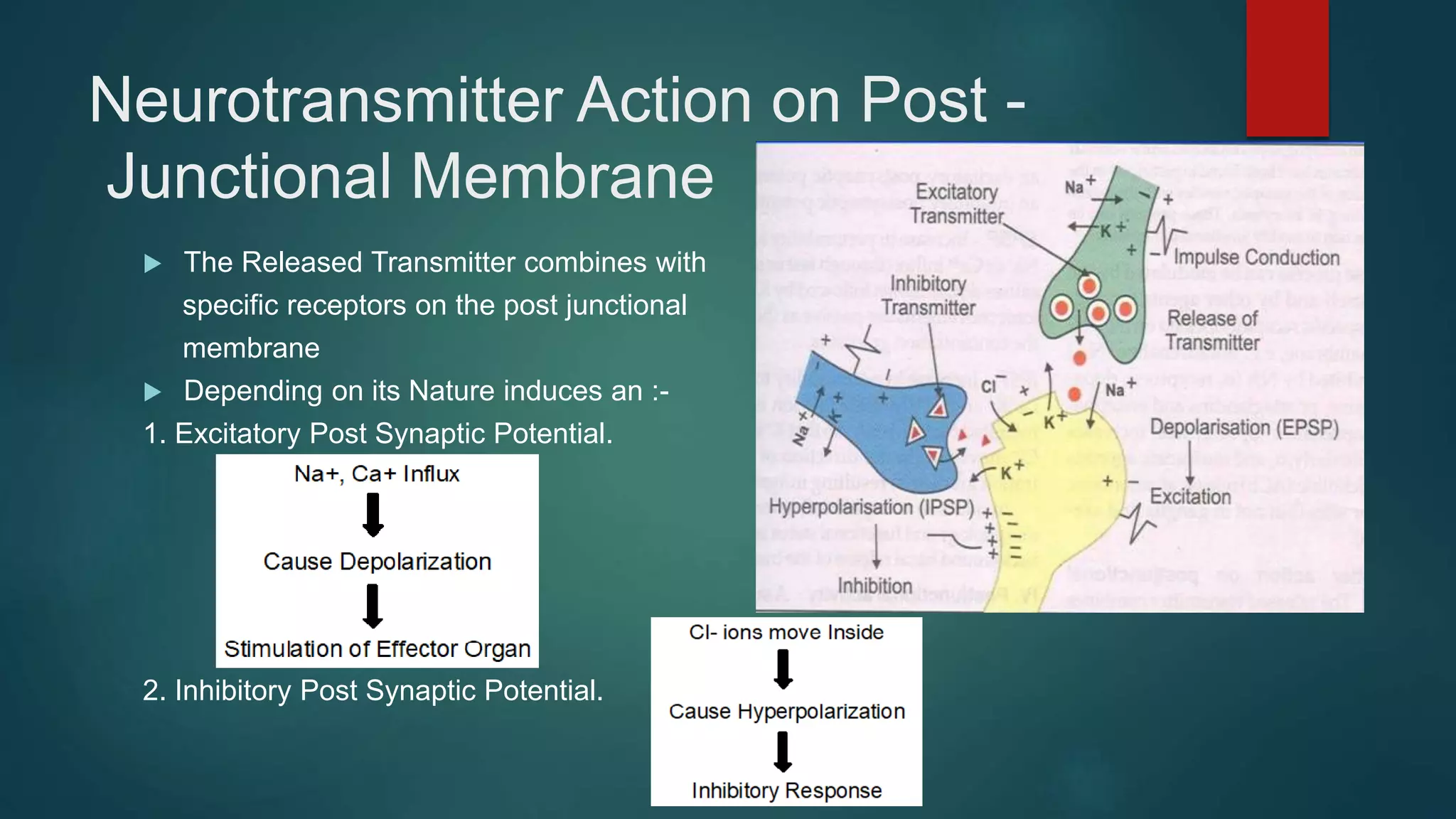 Neurohumoral transmission in CNS | PPTX