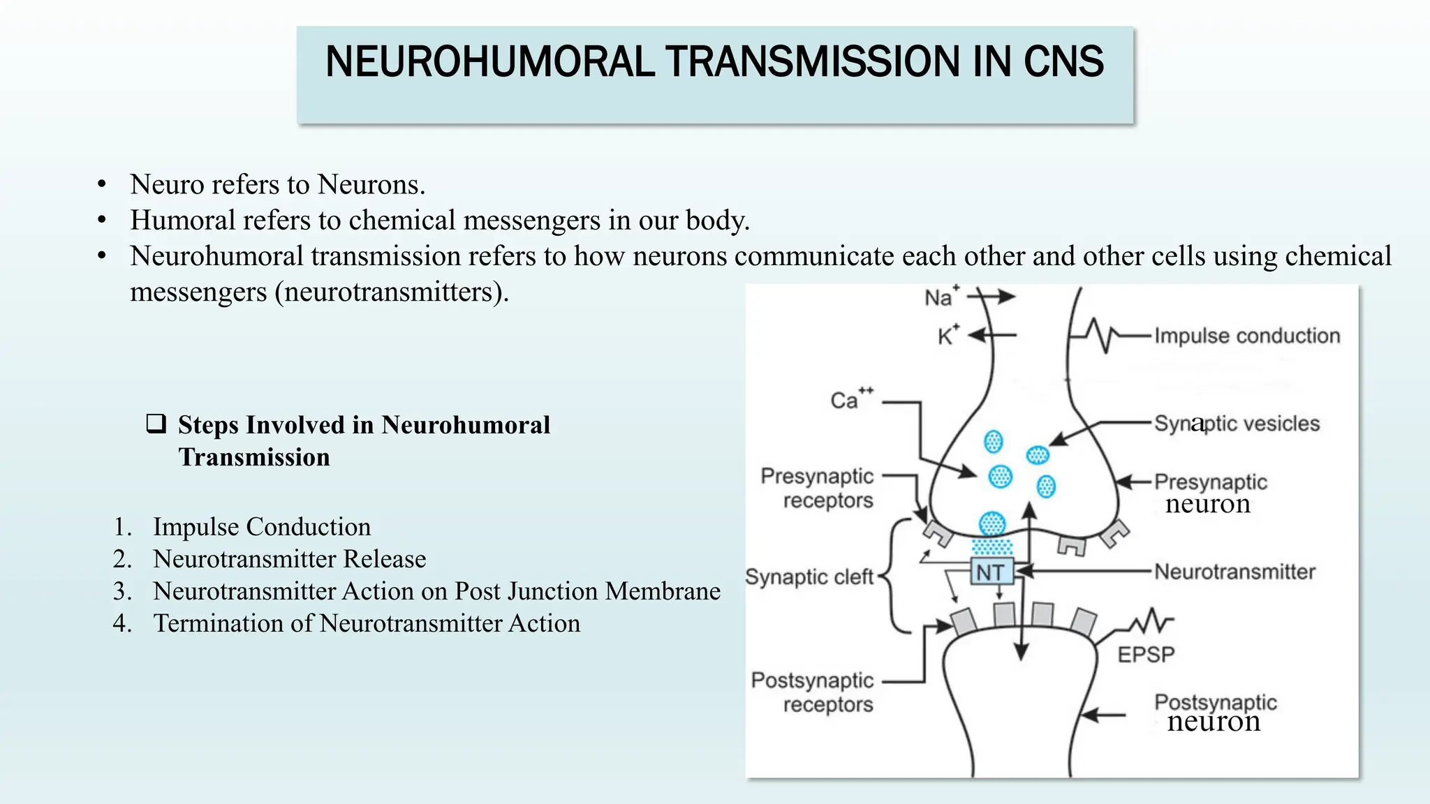 Neurohumoral Transmission in CNS.pdf