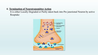 Neurohumoral Transmission in CNS.pdf