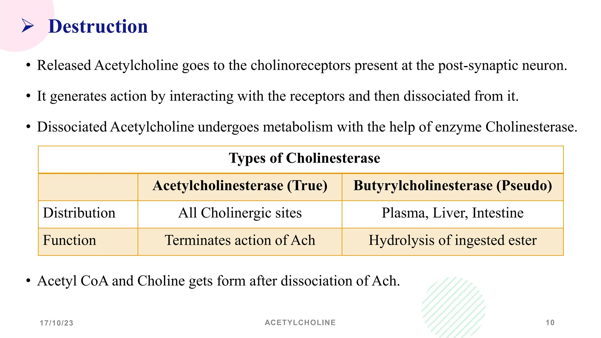 Neurohumoral Transmission of Acetylcholine.pptx