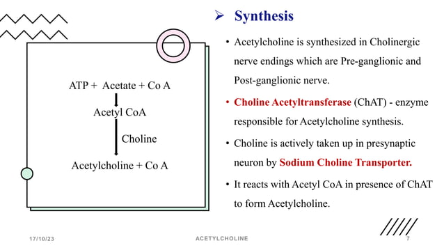Neurohumoral Transmission of Acetylcholine.pptx