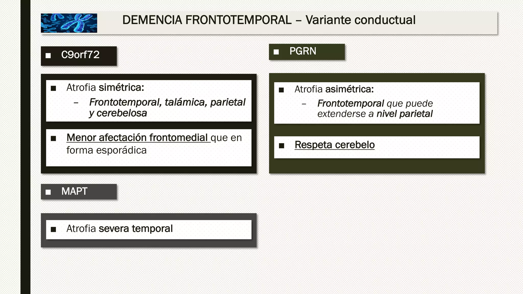Neuroimagen estructural demencias | PDF