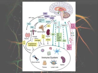 Neuroimmunology | PPTX