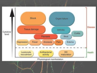 Neuroimmunology | PPTX