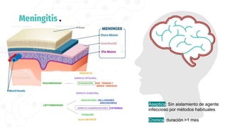 Neuroinfecciones MFDM.pptx