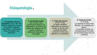 Neuroinfecciones MFDM.pptx