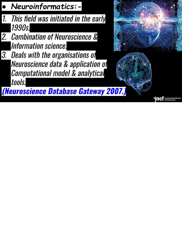 Neuroinformatics | PDF | Biological Sciences | Science
