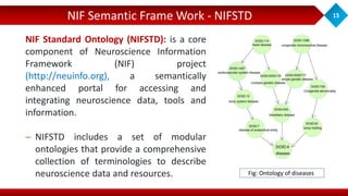 Neuroinformatics Databases Ontologies Federated Database.pptx