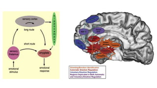 Neuroleadership | PPTX