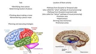 Neuroleadership | PPTX