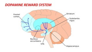 Neuroleadership | PPT