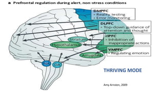 Neuroleadership | PPTX