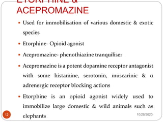 Neuroleptanalgesia | PPTX
