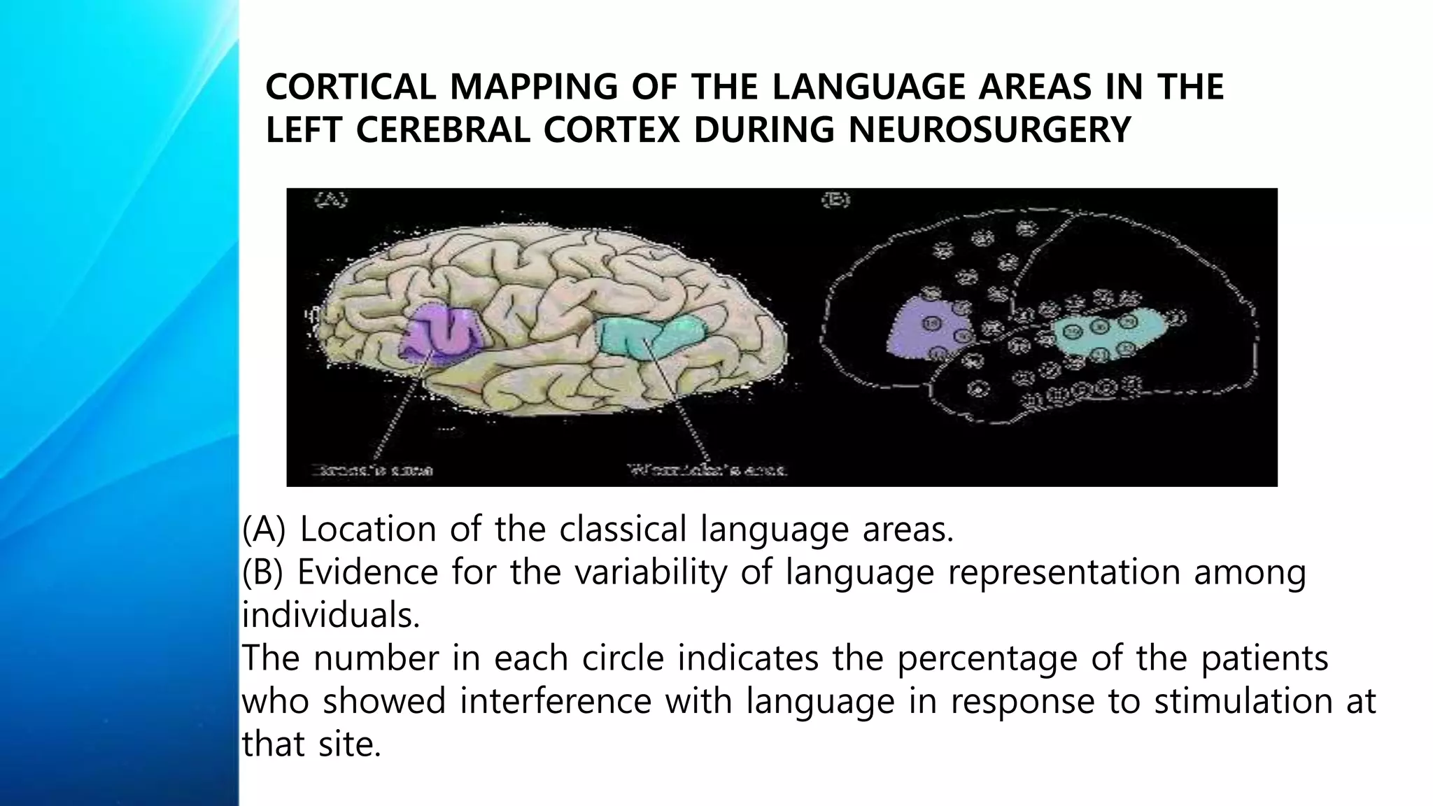 #Neurolinguistic# | PPTX | Brain and Nervous System Disorders ...