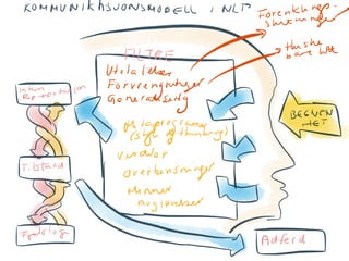 Neuro linguistic programming | PDF