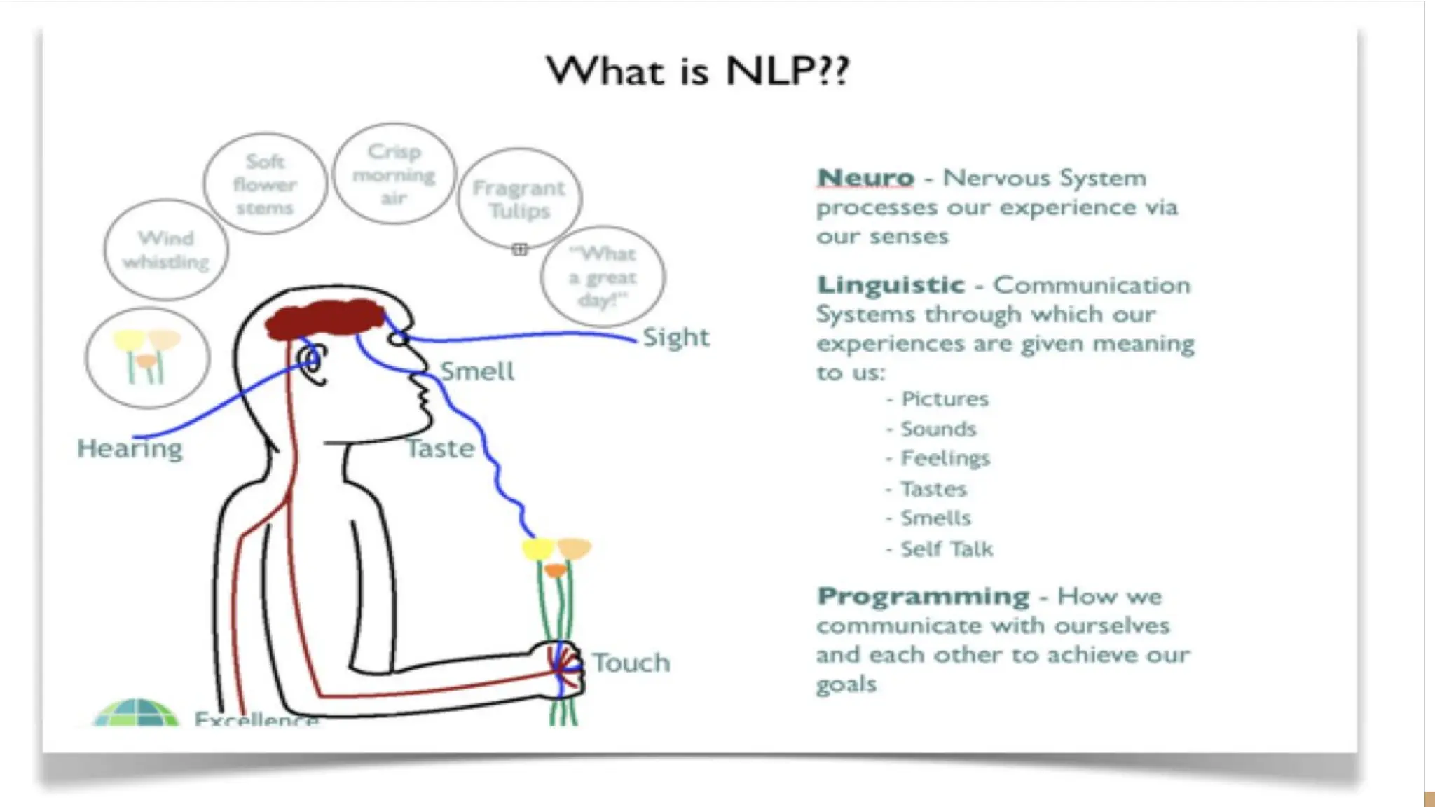 Neuro Linguistic Programming (NLP)-2.pdf