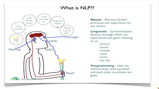 Neuro Linguistic Programming (NLP)-2.pdf