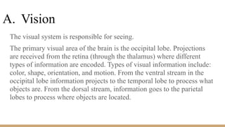 Neuro Linguistic Programming (NLP)-2.pdf