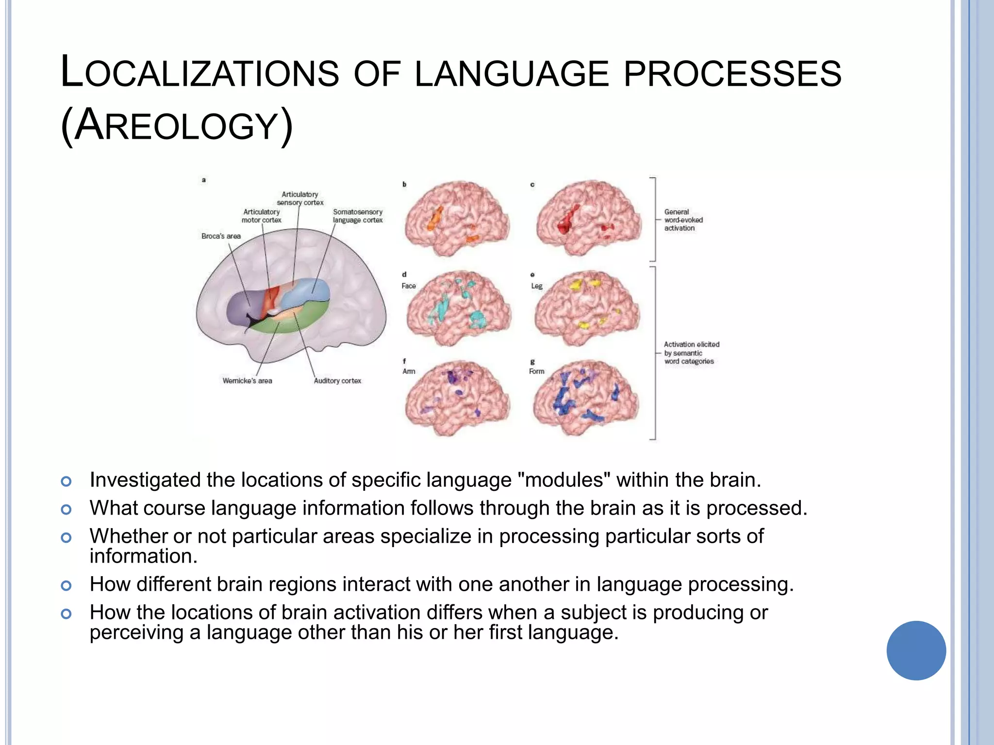 Neurolinguistics | PPTX