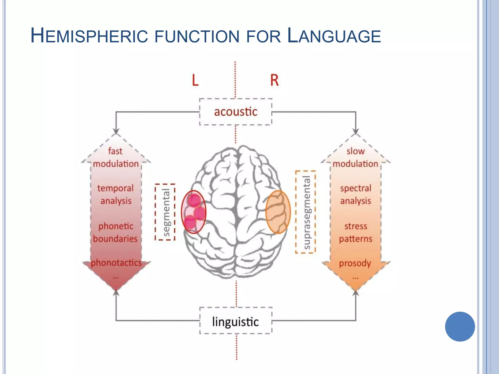 Neurolinguistics | PPTX