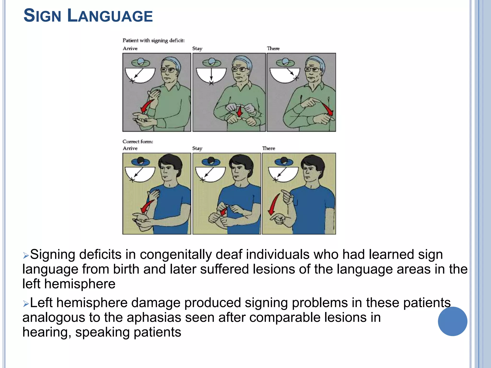 Neurolinguistics | PPTX