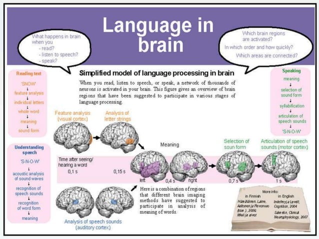 Neurolinguistics | PPTX
