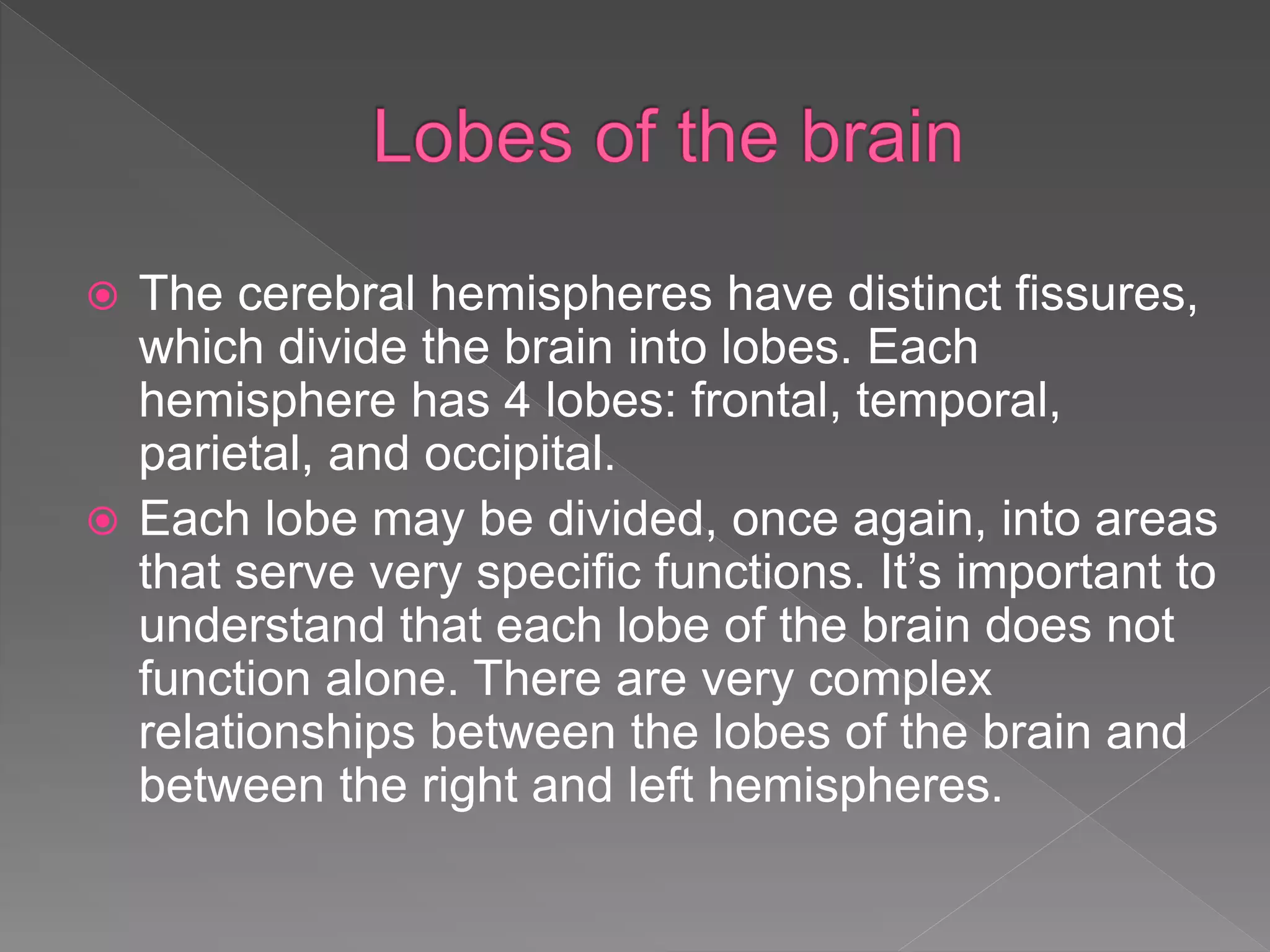 Neurolinguistics and brain types | PPT