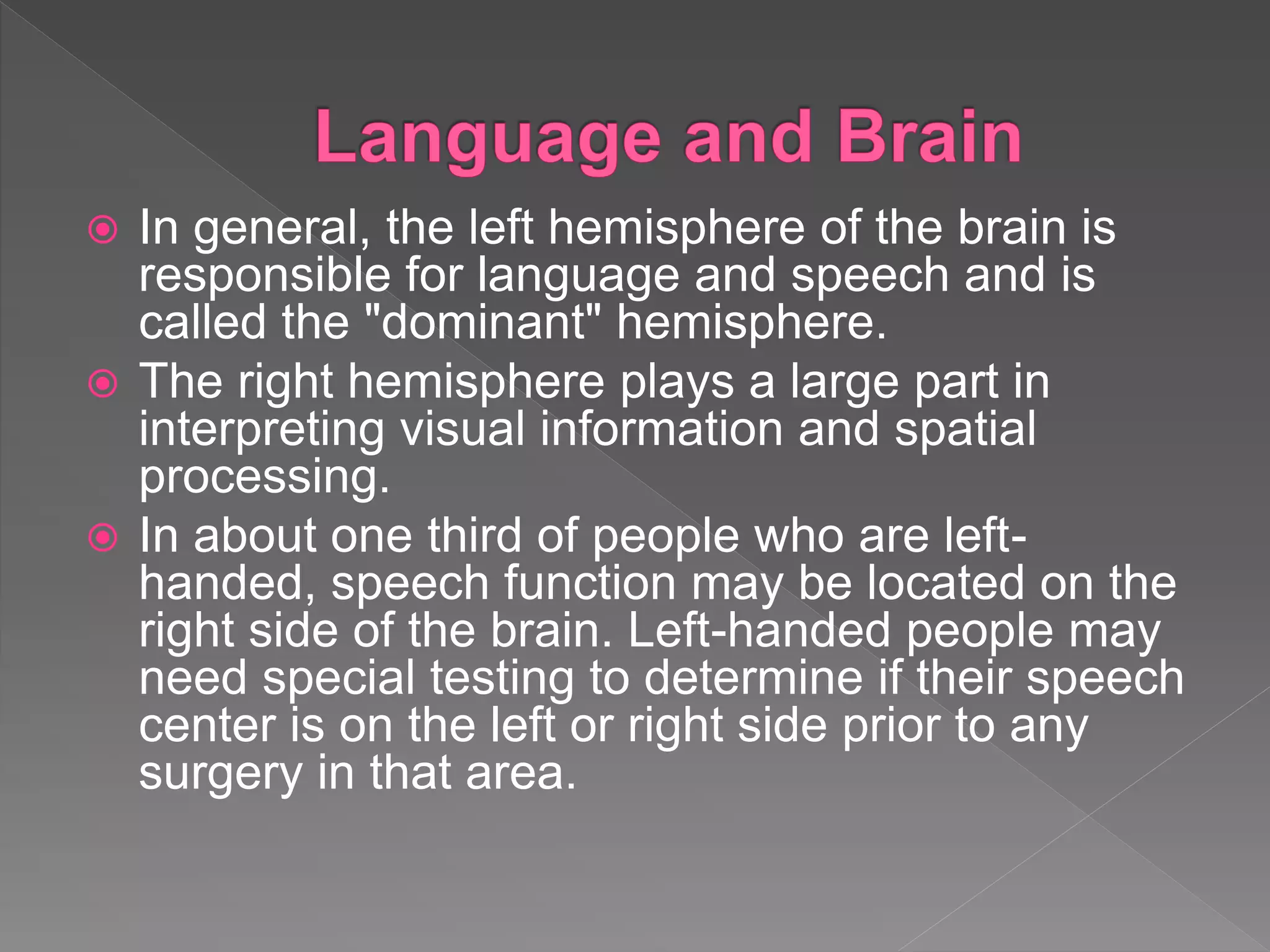 Neurolinguistics and brain types | PPT