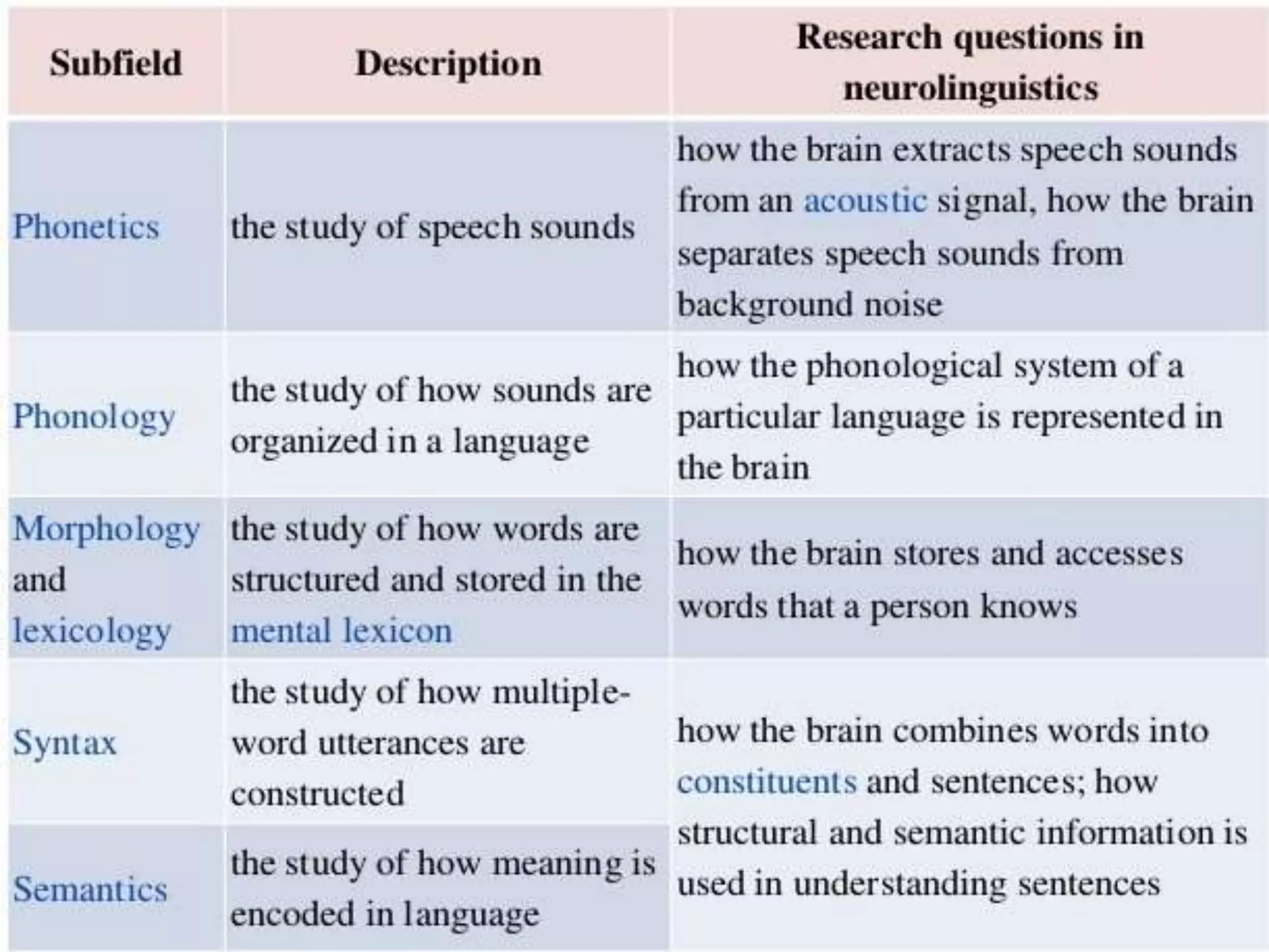 Neurolinguistics and brain types | PPT