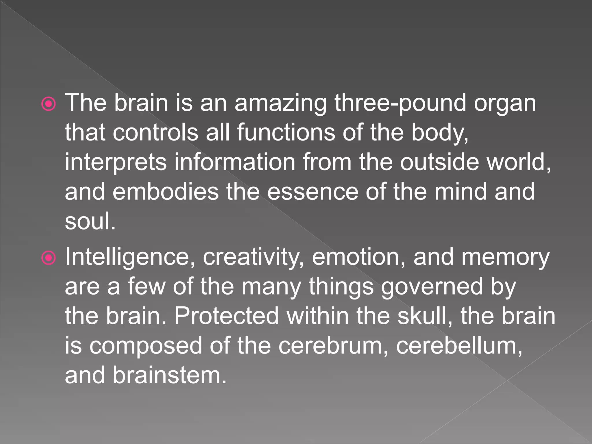 Neurolinguistics and brain types | PPT