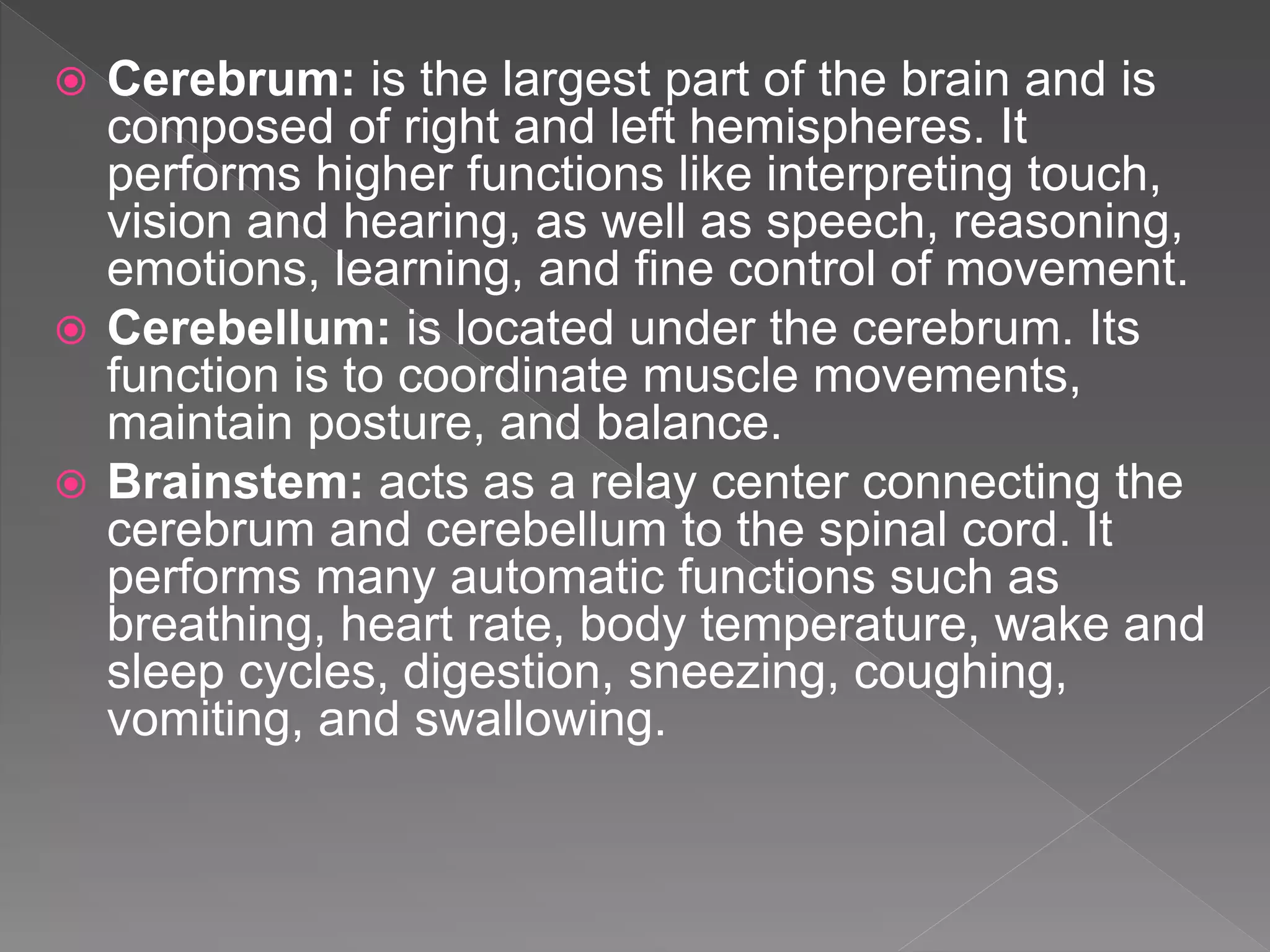 Neurolinguistics and brain types | PPT