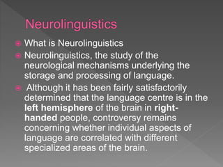 Neurolinguistics and brain types | PPT