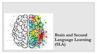 Neurolinguistics (final) | PDF