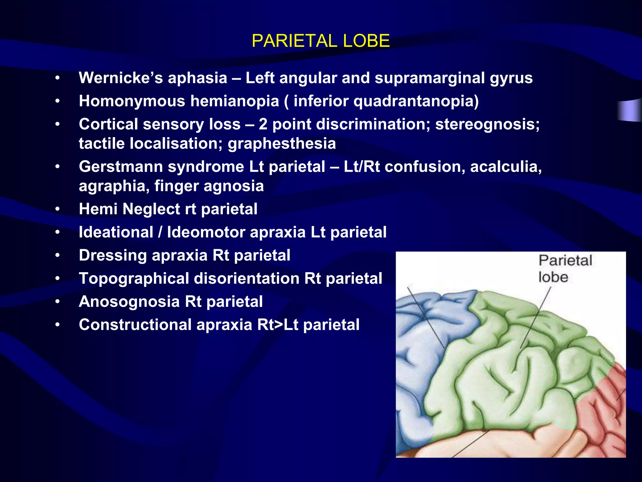 NeuroLocalisation.ppt