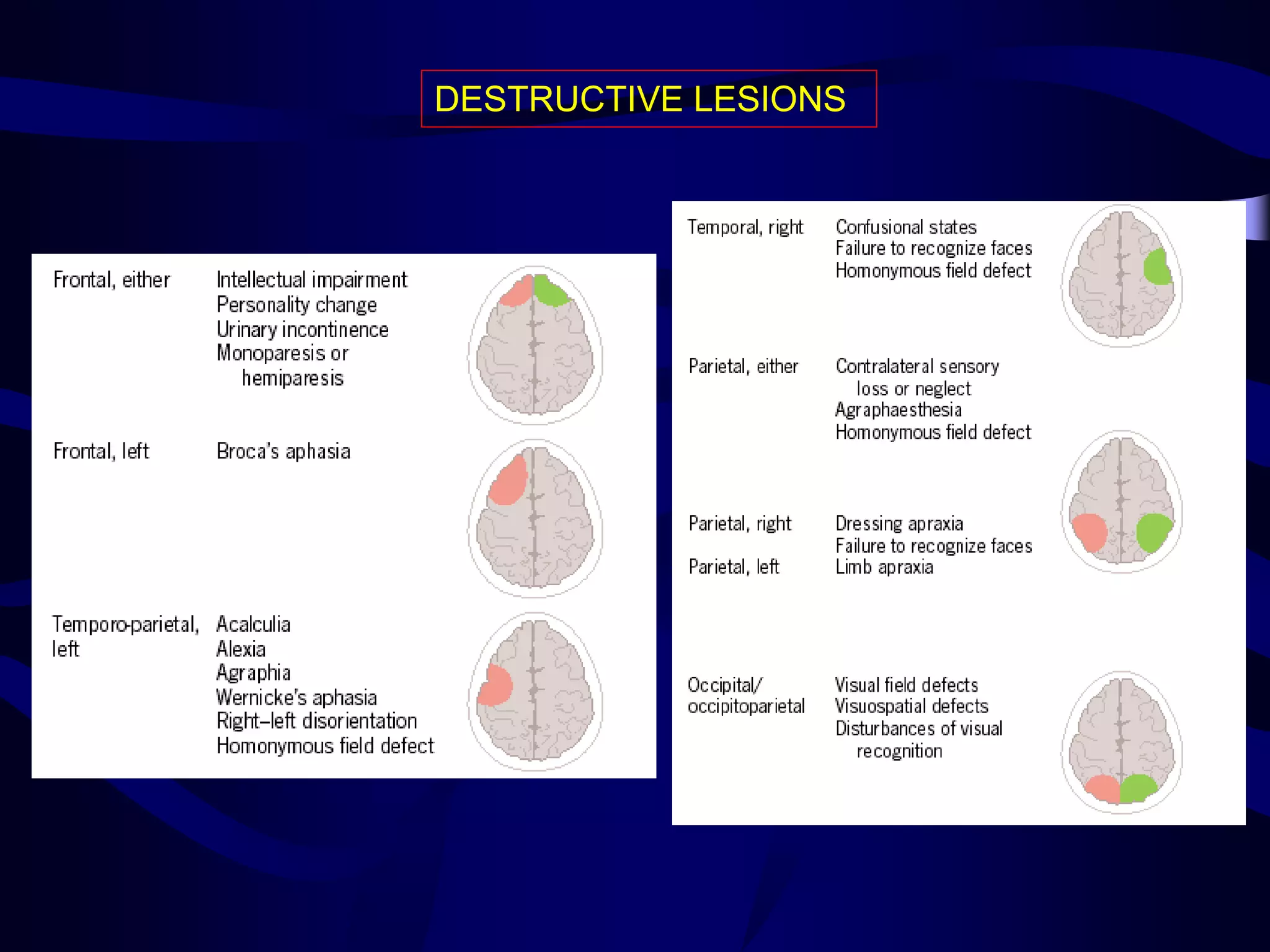NeuroLocalisation.ppt