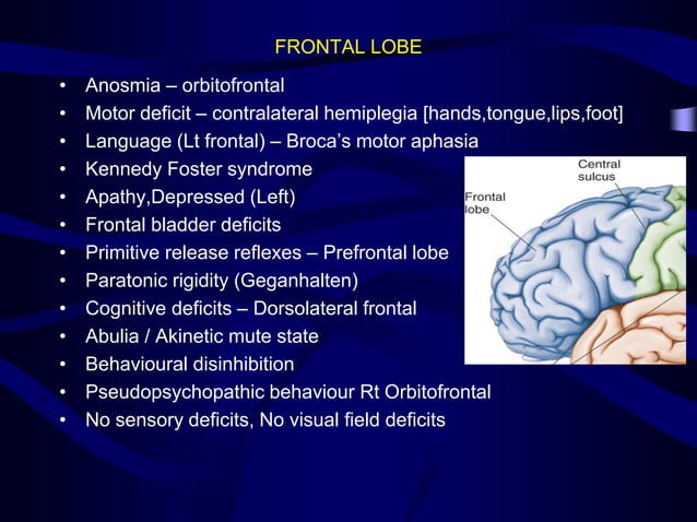 NeuroLocalisation.ppt