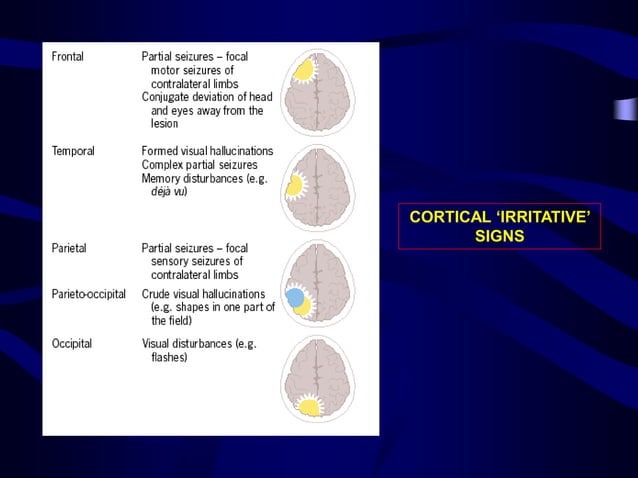 NeuroLocalisation.ppt