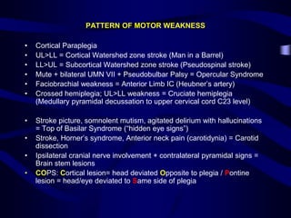 NeuroLocalisation.ppt
