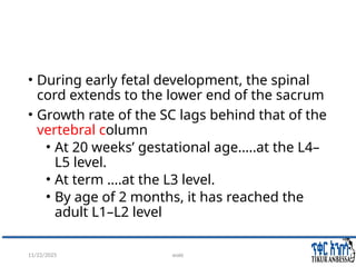 Neurolocalization Spinal Cord wale fi.pptx
